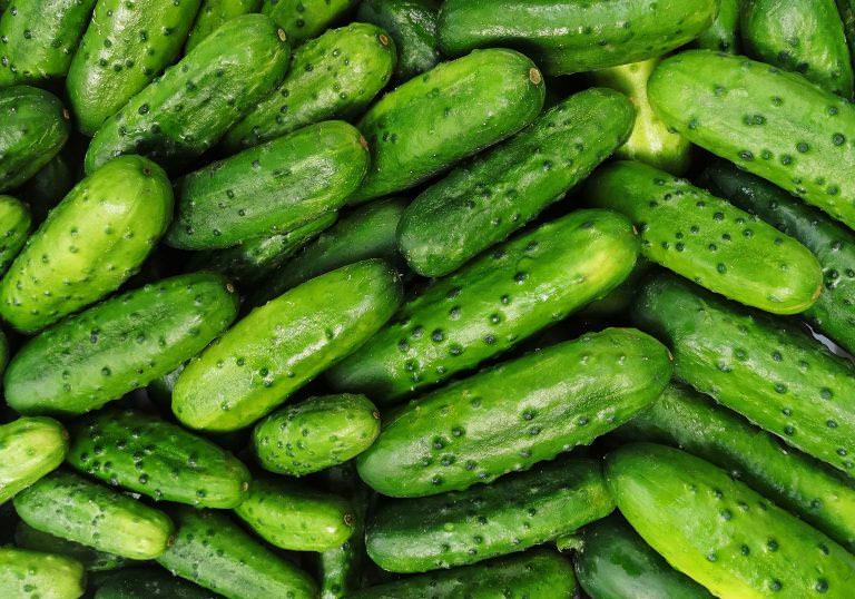 Ogórek właściwości historia dieta i działanie | Apetyt Na Polskie